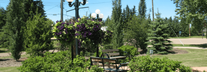 Woodland Park - Town of Calmar